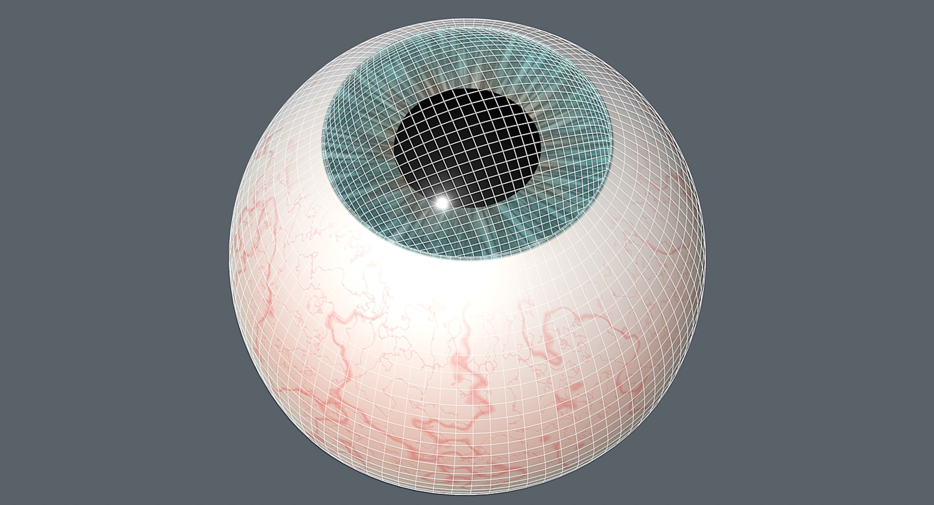 Eye Realistic Modeled Eyeball 3D - TurboSquid 1314755