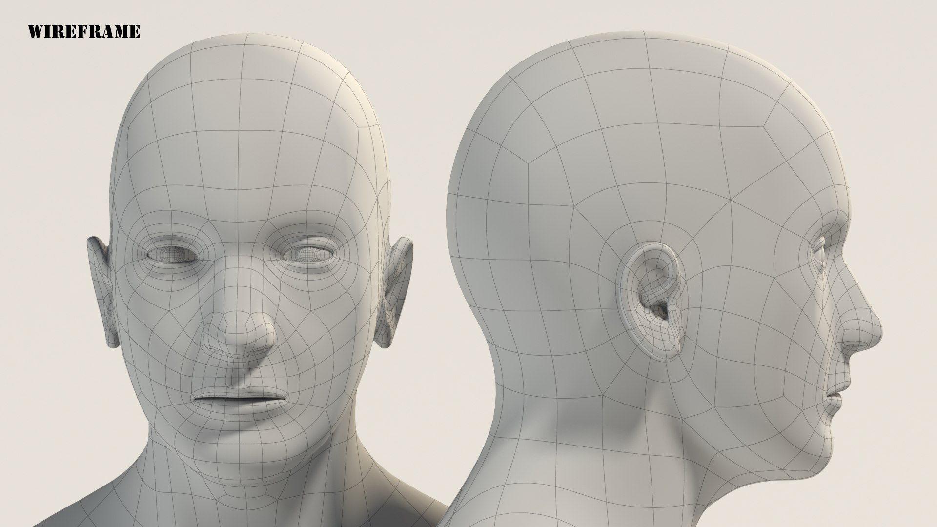 Free 3D Model Base Mesh Simple Man - TurboSquid 1550153