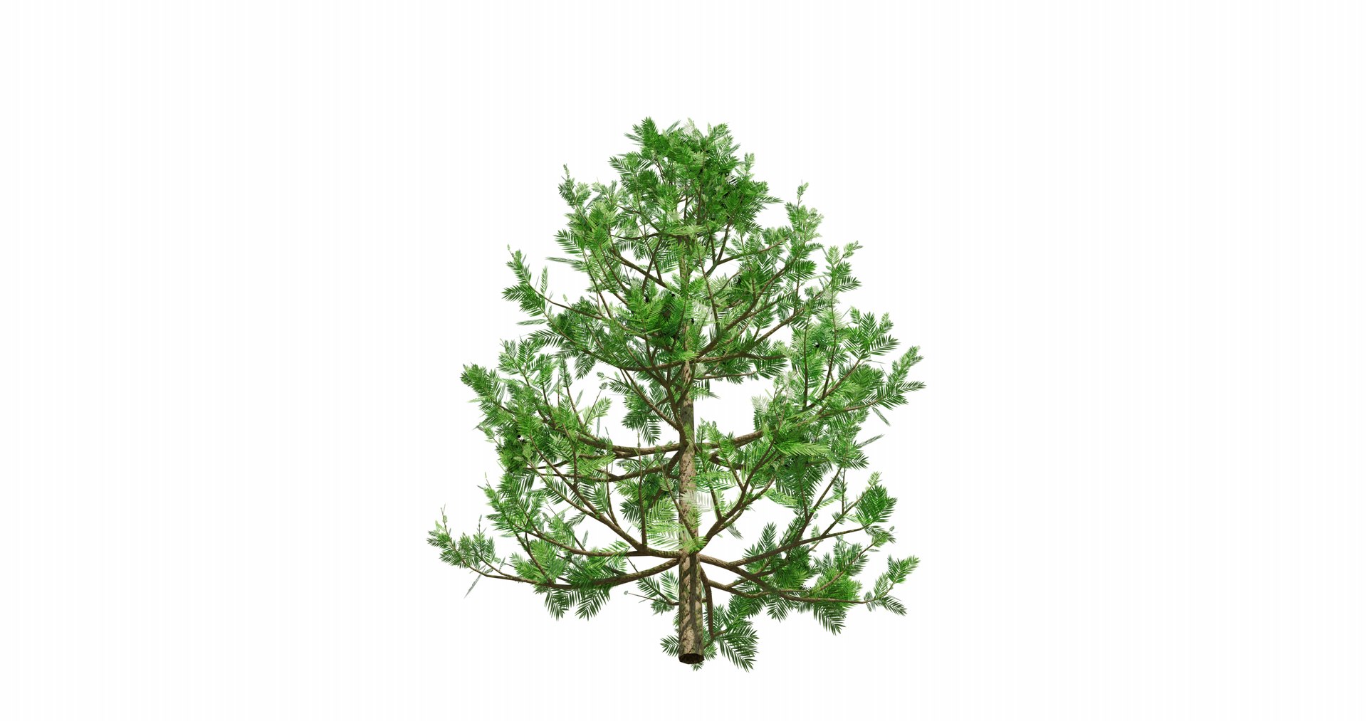 Tree Blender 3D - TurboSquid 2113657