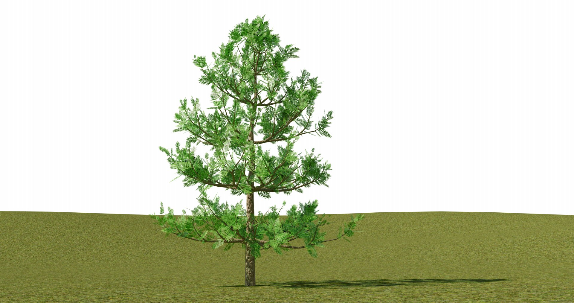 Tree Blender 3D - TurboSquid 2113657
