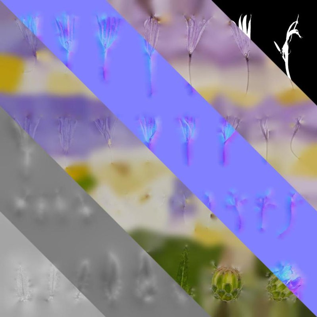 Anydrafts Centaurea Cyanus Blue Diadem Flower 02 Textures 3D Model ...