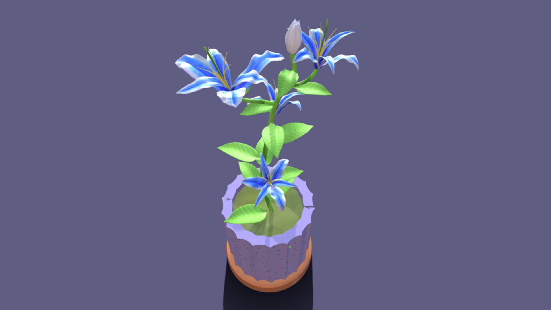 3D Flower Star Gazer Lily - TurboSquid 2067820
