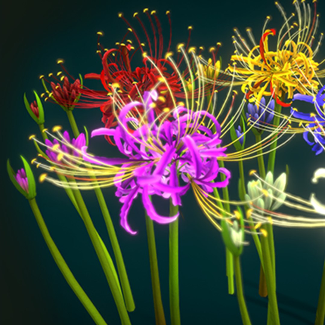 3D Flower Lycoris Radiata Model - TurboSquid 2133061