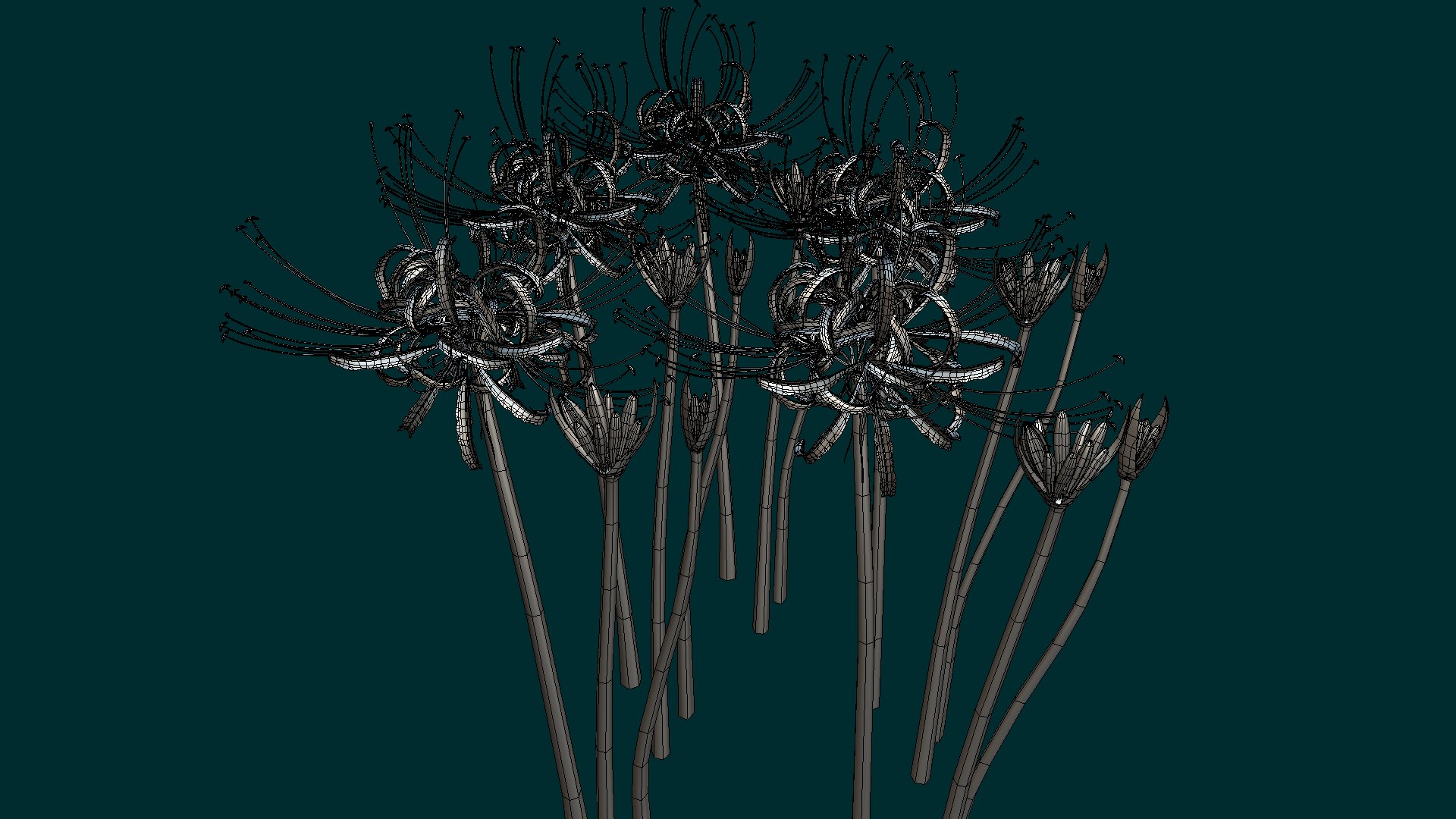 3D Flower Lycoris Radiata Model - TurboSquid 2133061