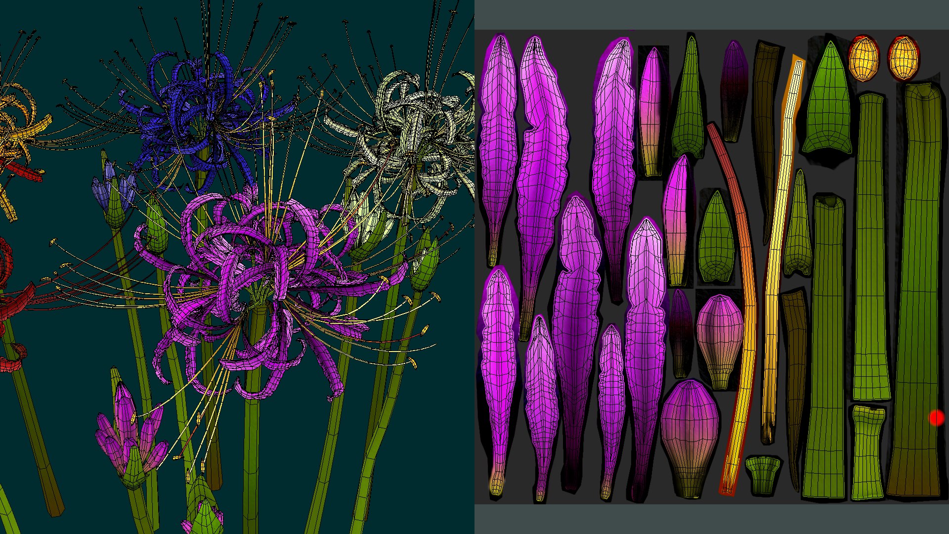 3D Flower Lycoris Radiata Model - TurboSquid 2133061