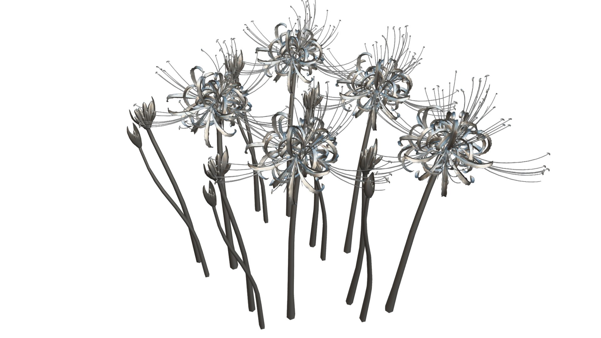 3D Flower Lycoris Radiata Model - TurboSquid 2133061