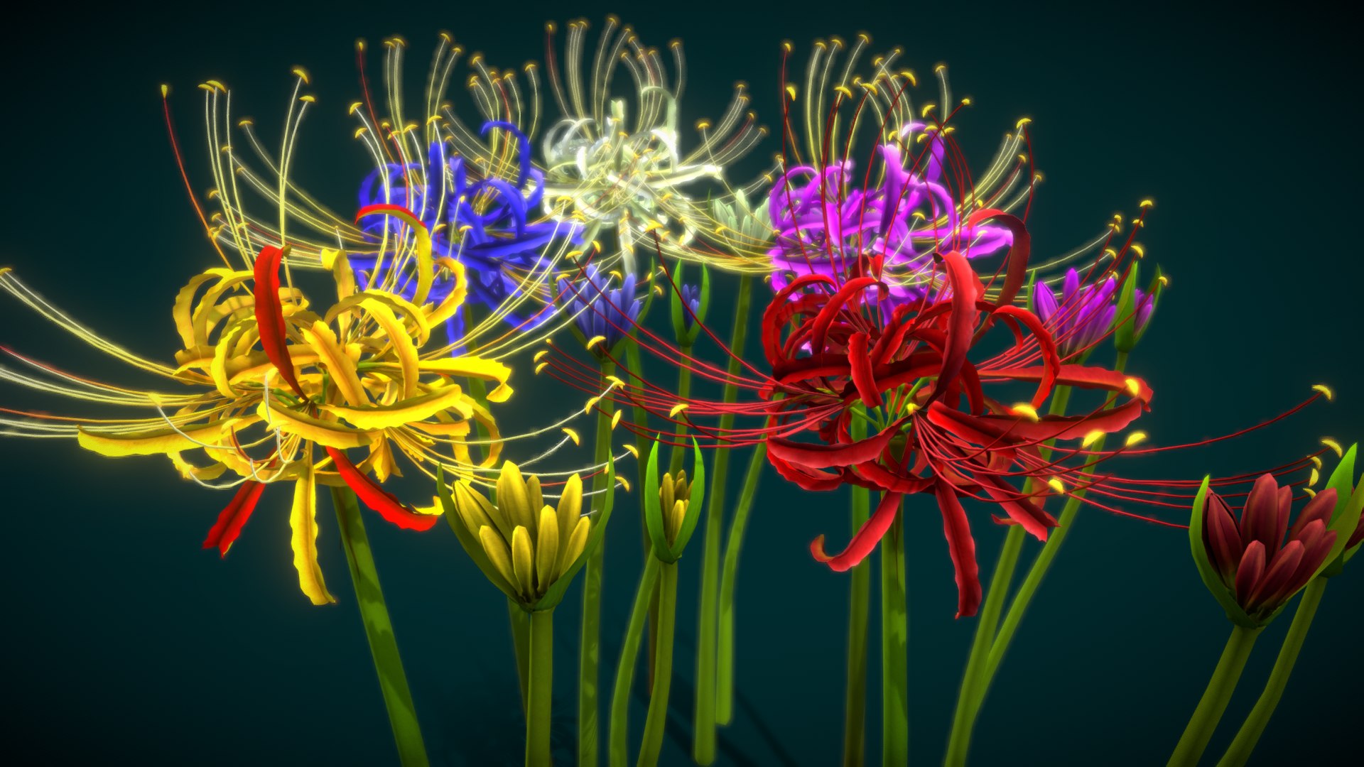 3D Flower Lycoris Radiata Model - TurboSquid 2133061
