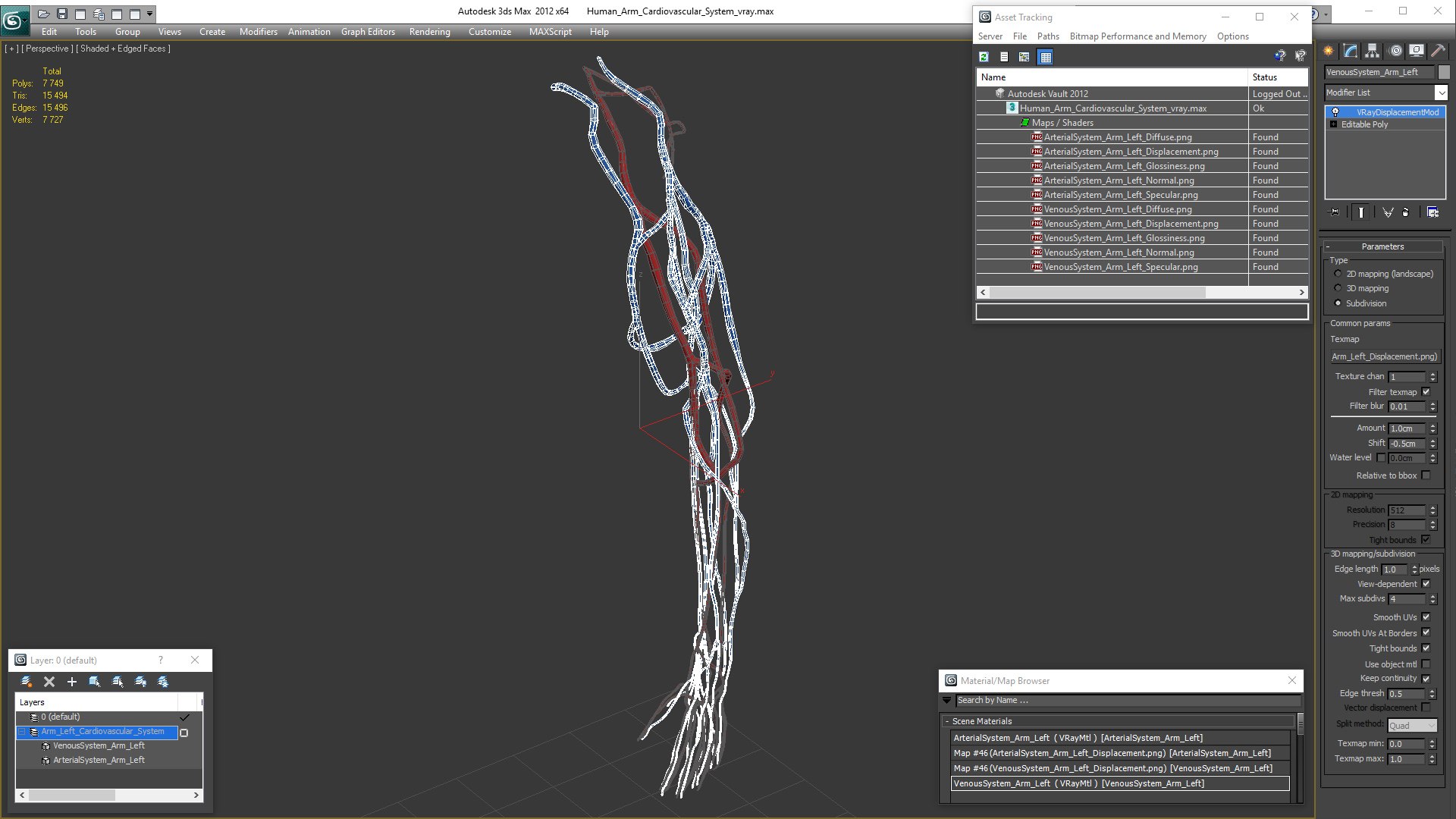 Human Arm Cardiovascular Vascular 3D Model - TurboSquid 1459116