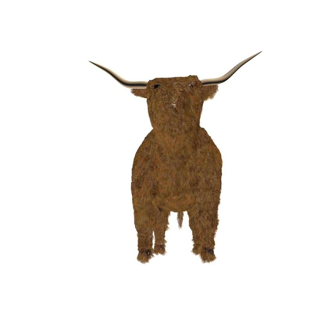 Highland Cattle 3D Model | 1143322 | TurboSquid