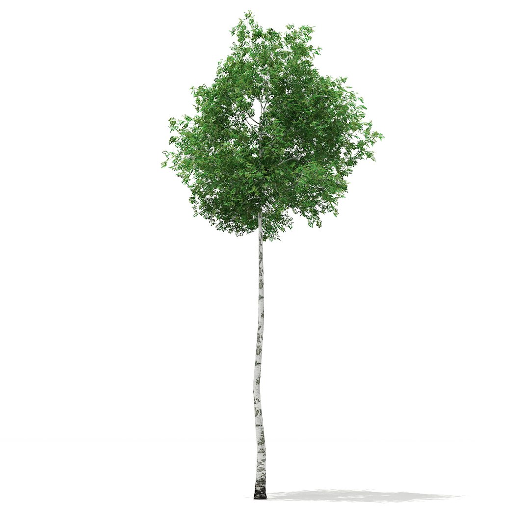 3d model volume 67 - trees