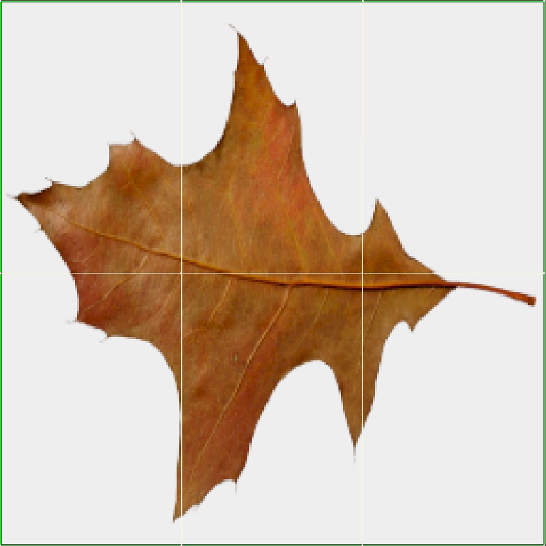 3D Autumn Leaf - TurboSquid 1222241