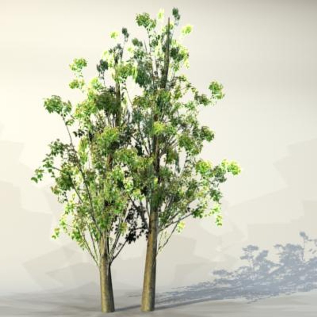 pc tree 3d max