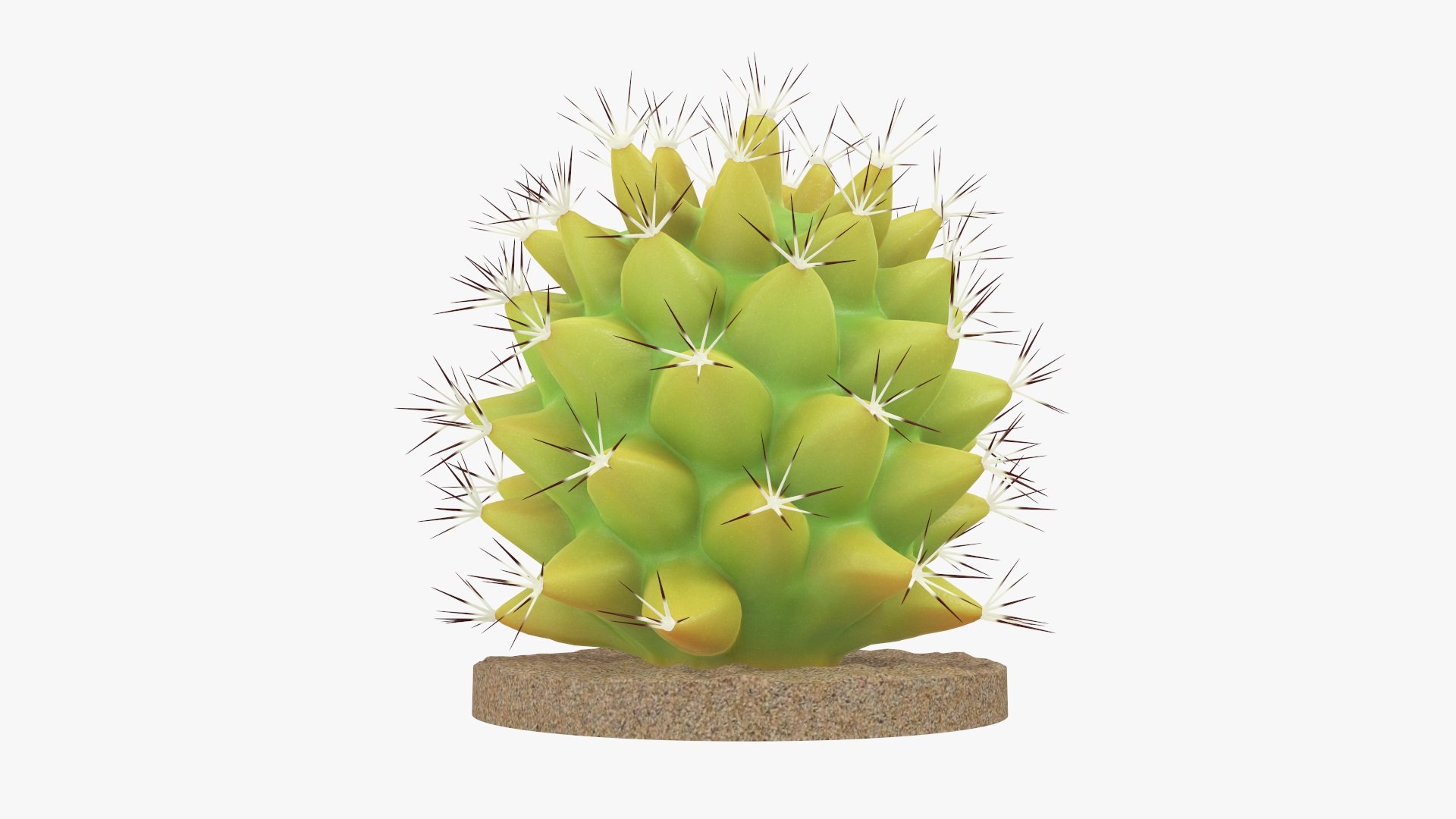 3D cactus pot plant model - TurboSquid 1615247