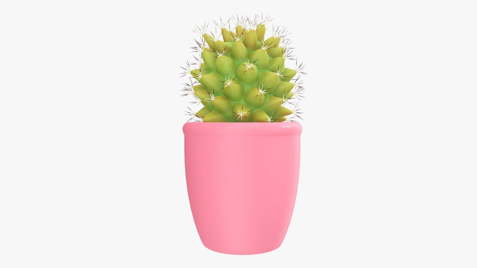 3D cactus pot plant model - TurboSquid 1615247
