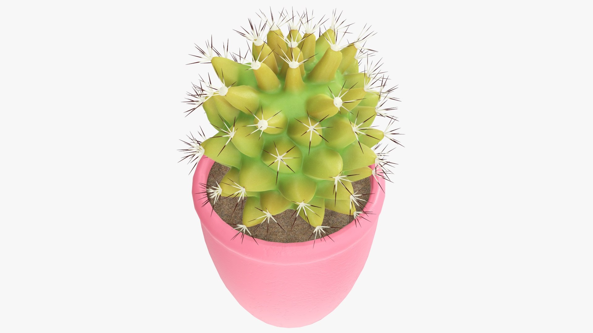 3D cactus pot plant model - TurboSquid 1615247