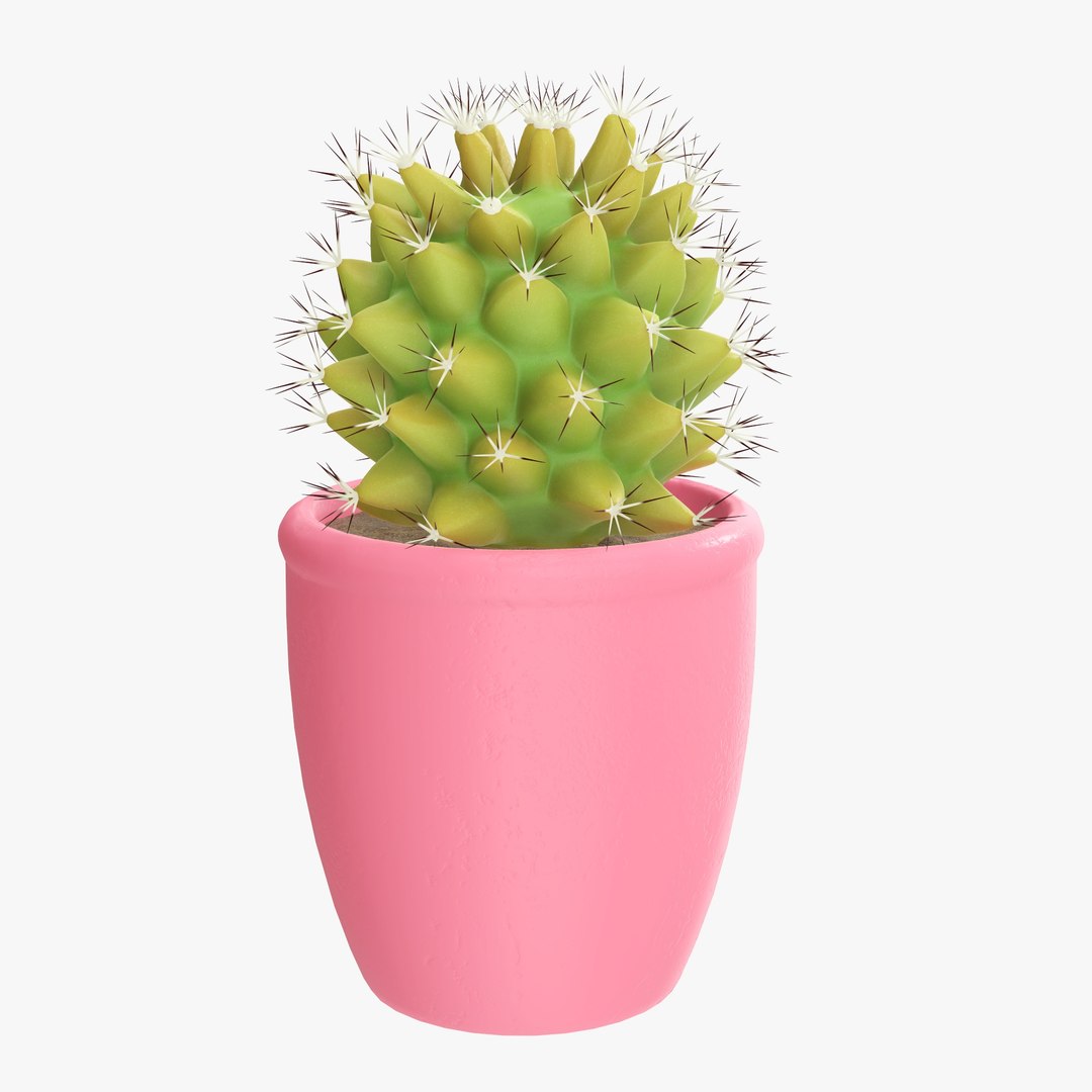 3D cactus pot plant model - TurboSquid 1615247