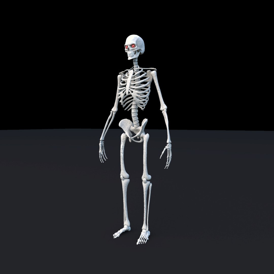 Skeleton Rig Ma Free
