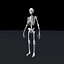 Skeleton Rig Ma Free