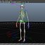Skeleton Rig Ma Free