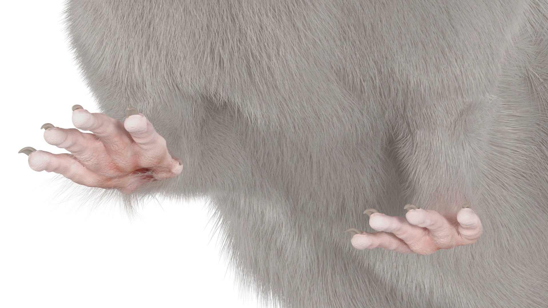 3D Realistic White Rat With Fur Rigged Model - TurboSquid 2302431