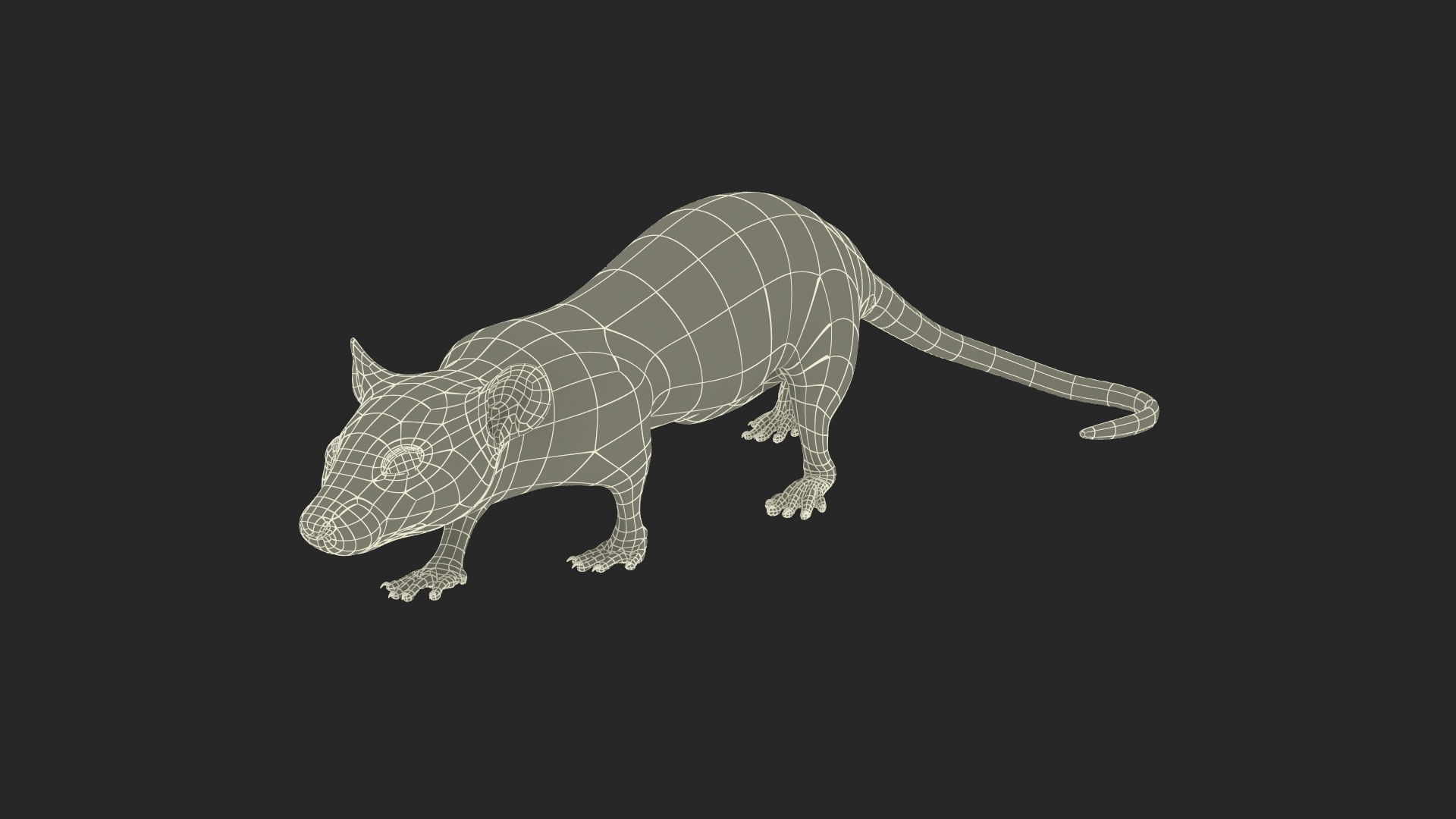 3D Realistic White Rat With Fur Rigged Model - TurboSquid 2302431