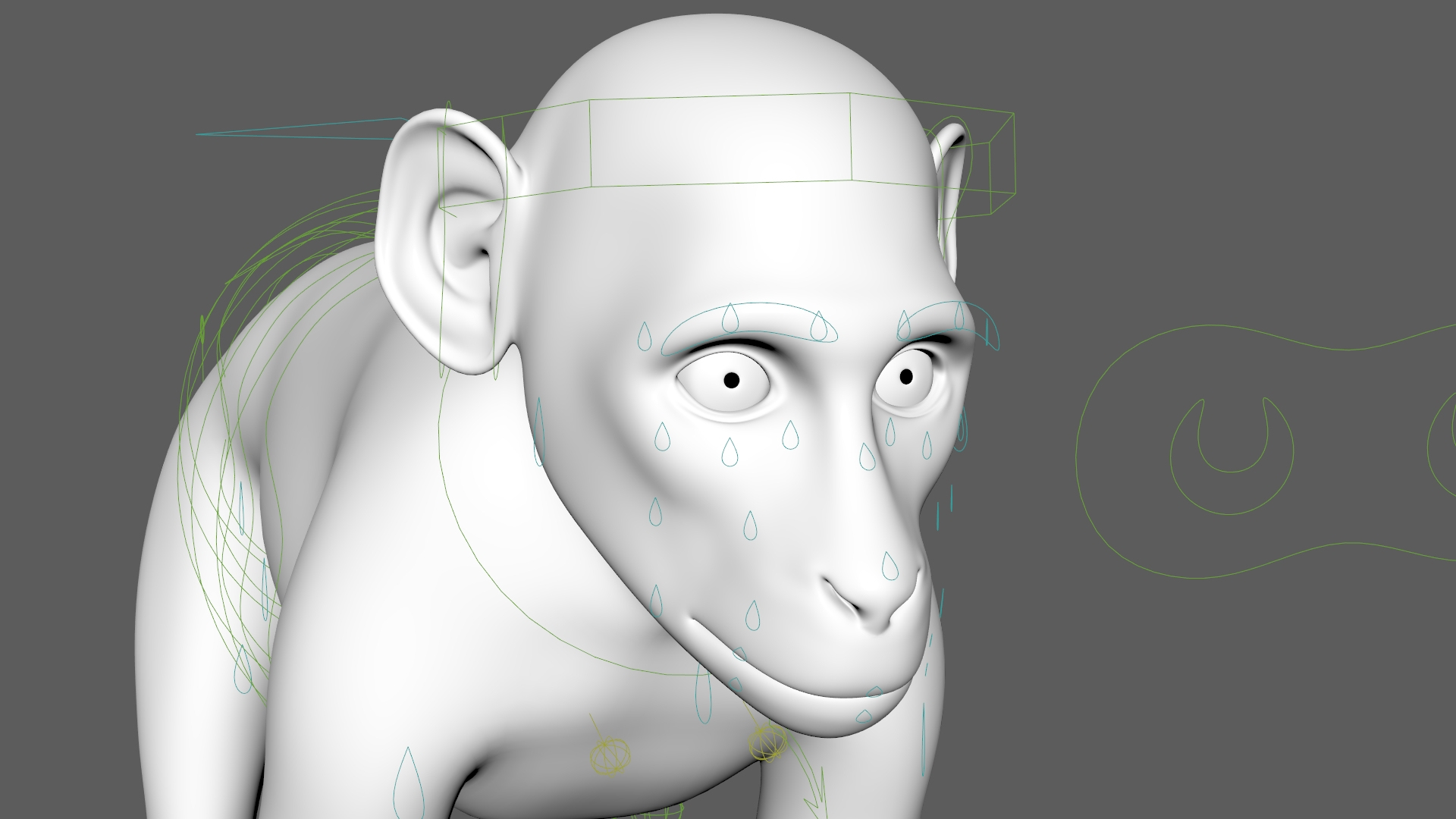 Monkey Ververt FUR Rig 02 3D model - TurboSquid 2176410