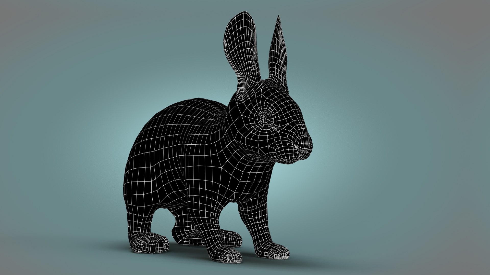 Rabbit Spotted ANIMATED XGEN-CORE 3D Model - TurboSquid 2096947