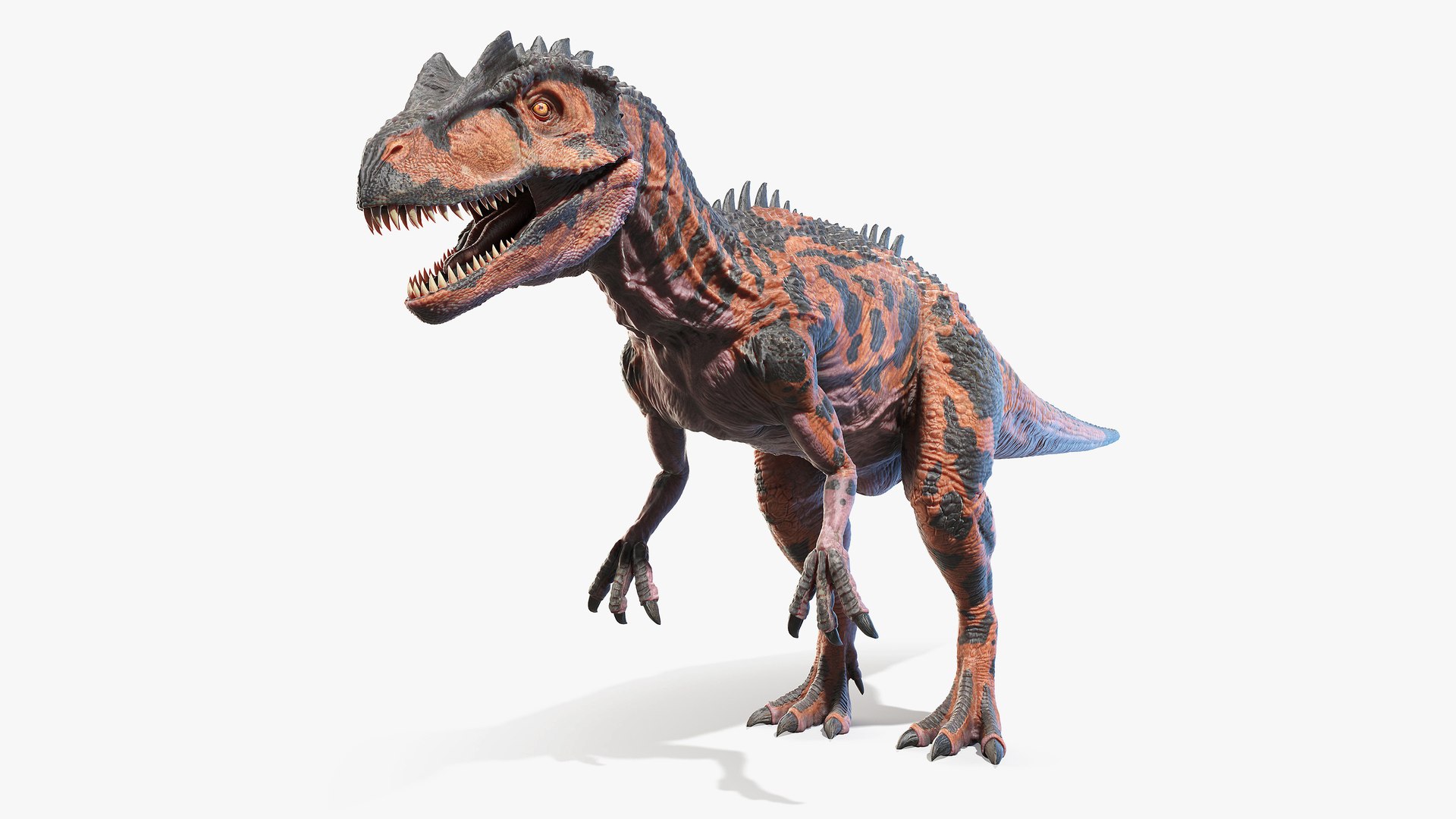 allosaurus 3d