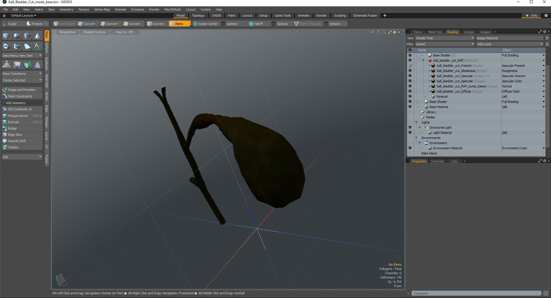 Gall Bladder Cut 3D Model - TurboSquid 2250605