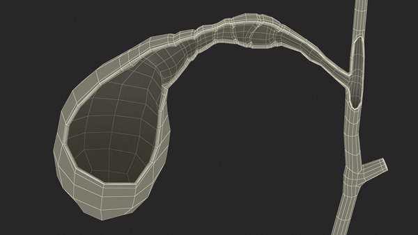 modelo 3d Corte de vesícula biliar - TurboSquid 2250605