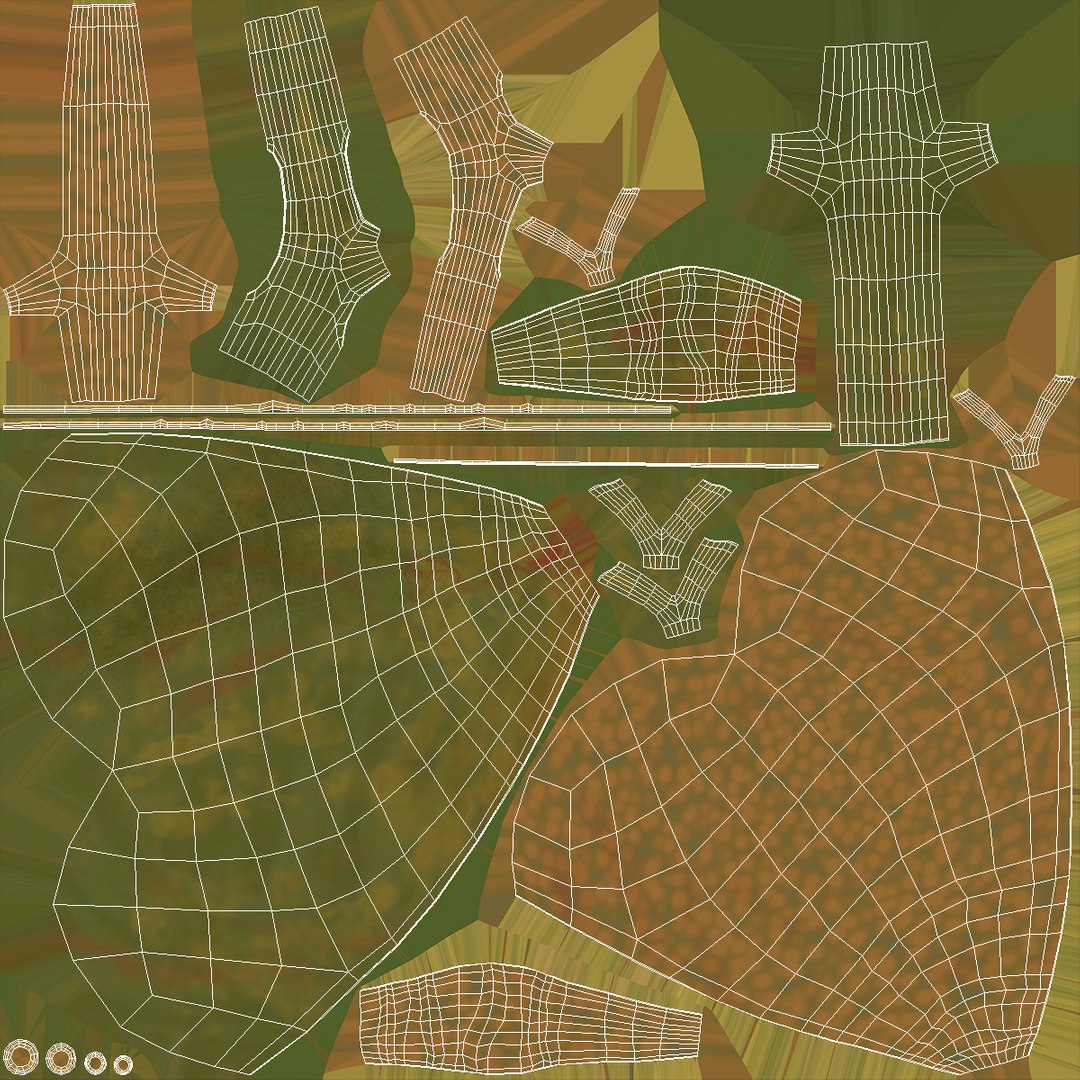 Gall Bladder Cut 3D Model - TurboSquid 2250605