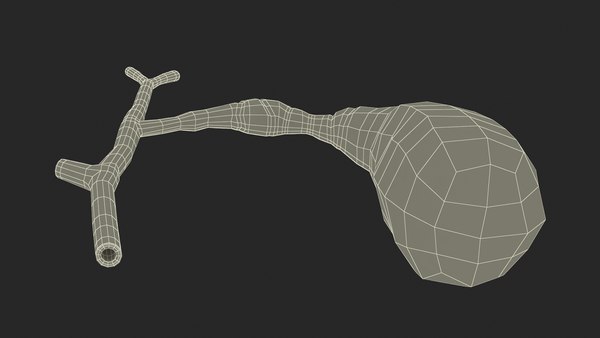modelo 3d Corte de vesícula biliar - TurboSquid 2250605