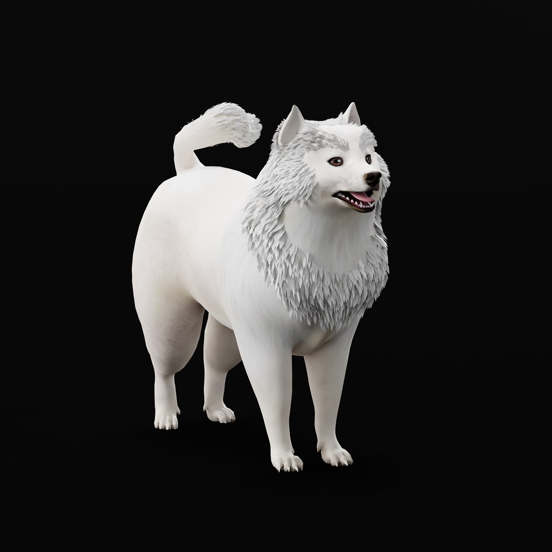 3D Samoyed Dog Model - TurboSquid 2399418
