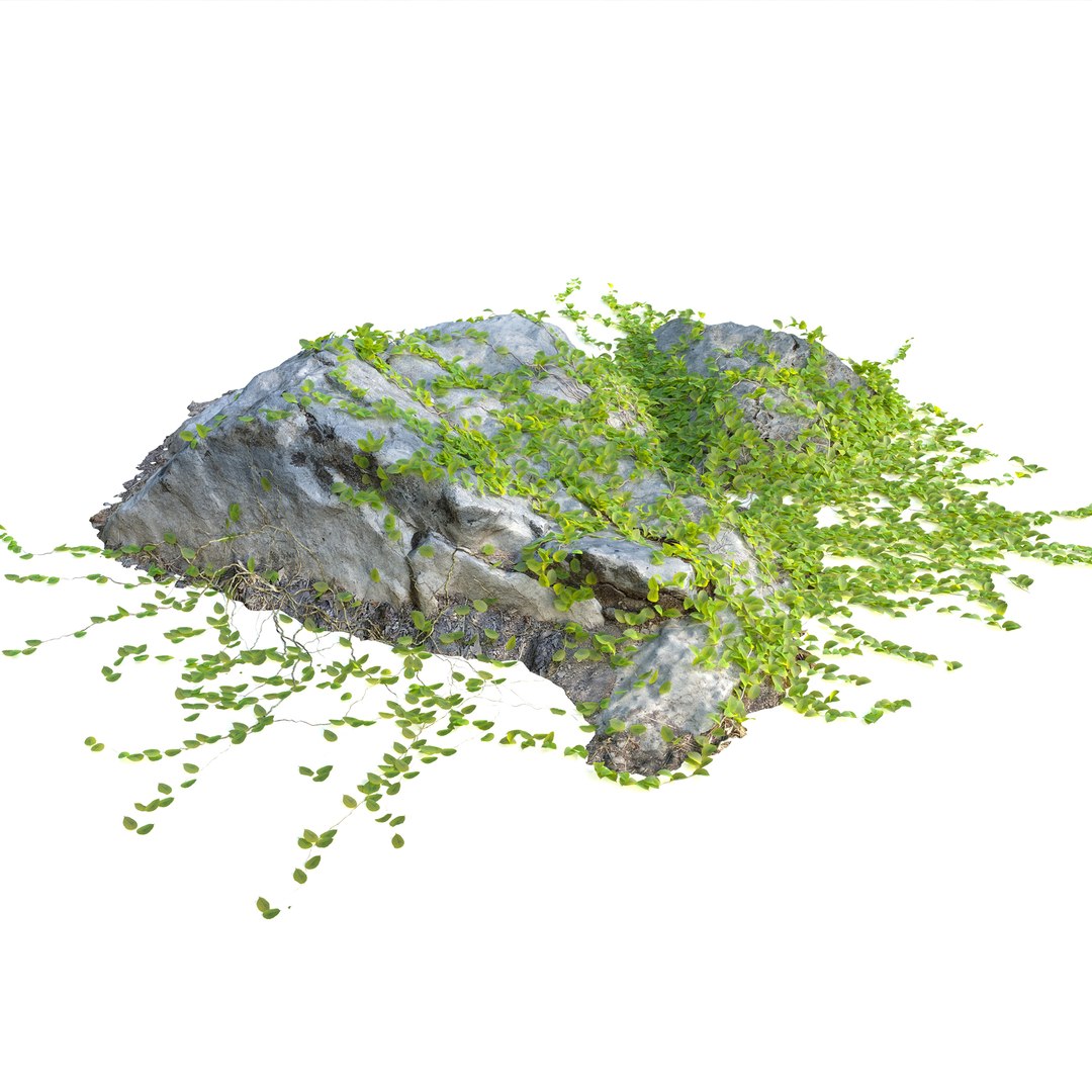 3D Rock And Ivy - TurboSquid 1956967