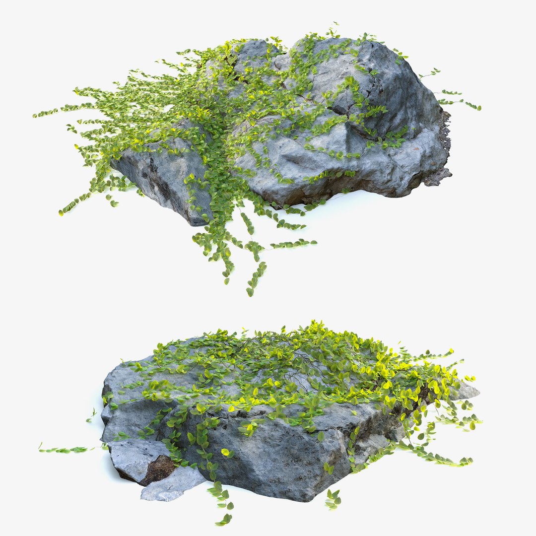 3D Rock and ivy - TurboSquid 1956967