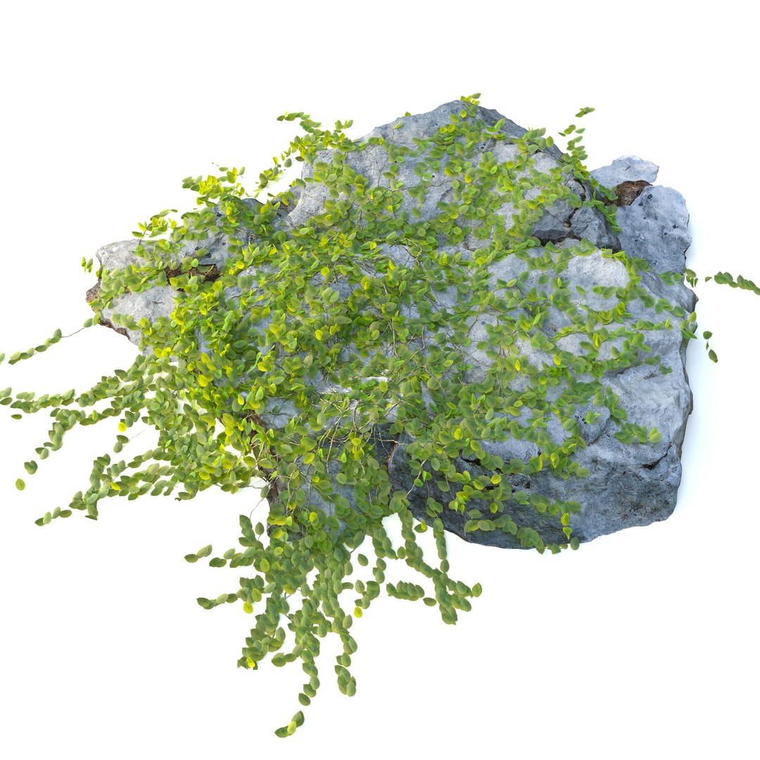 3D Rock And Ivy - TurboSquid 1956967