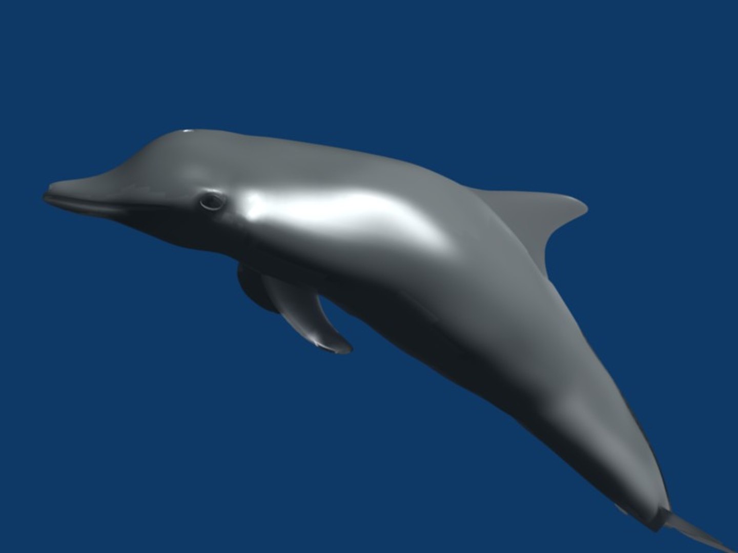 Dolphin Obj