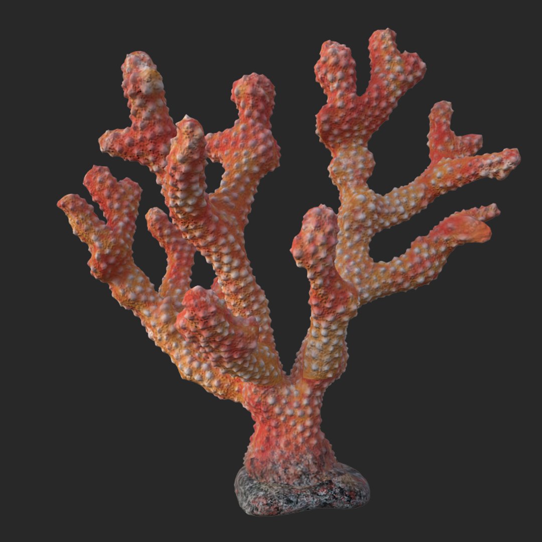 3D Coral Acropora V3 Model - TurboSquid 1252240