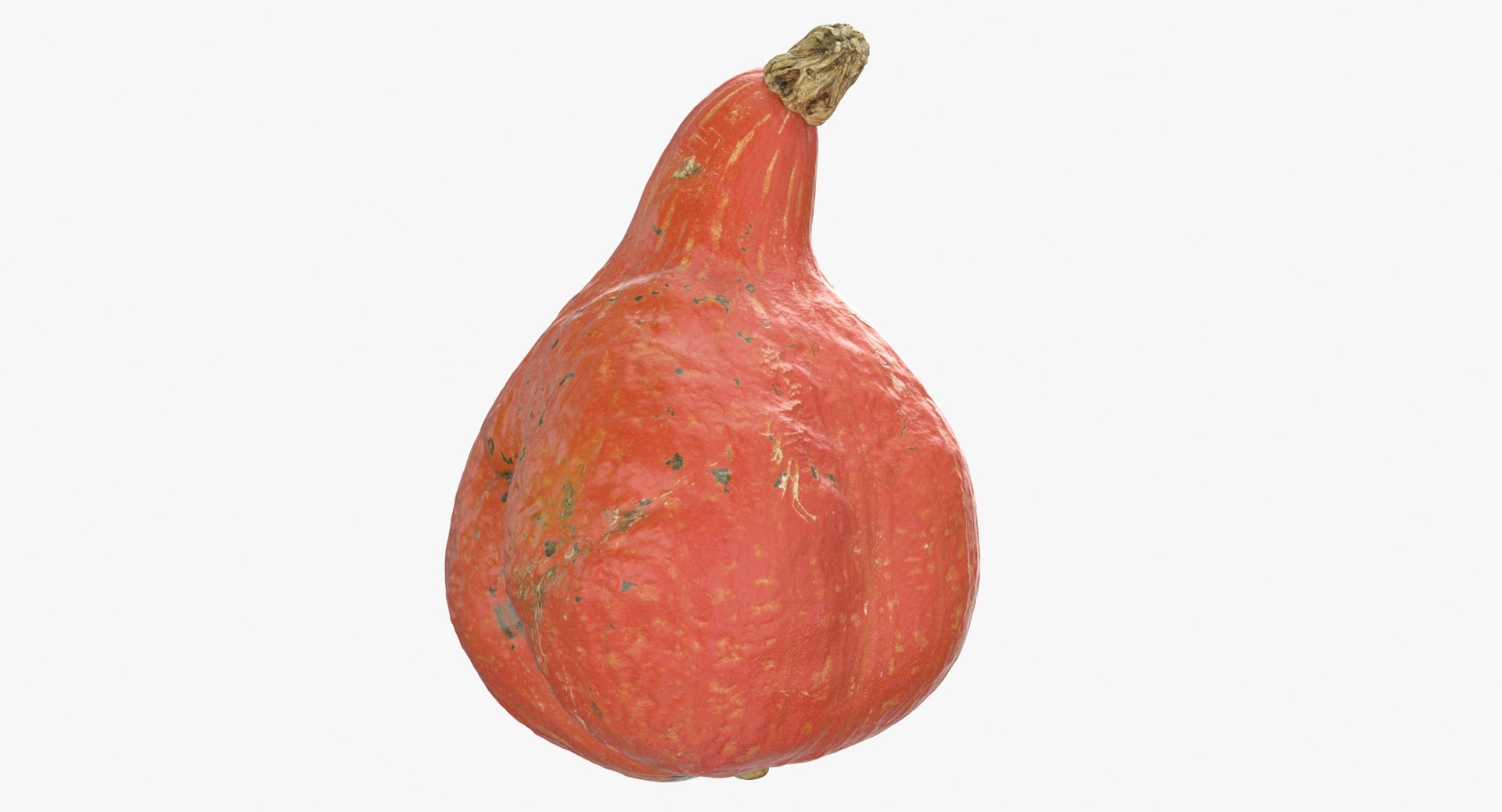 3D Red Kuri Squash Hokkaido Model - TurboSquid 1540991