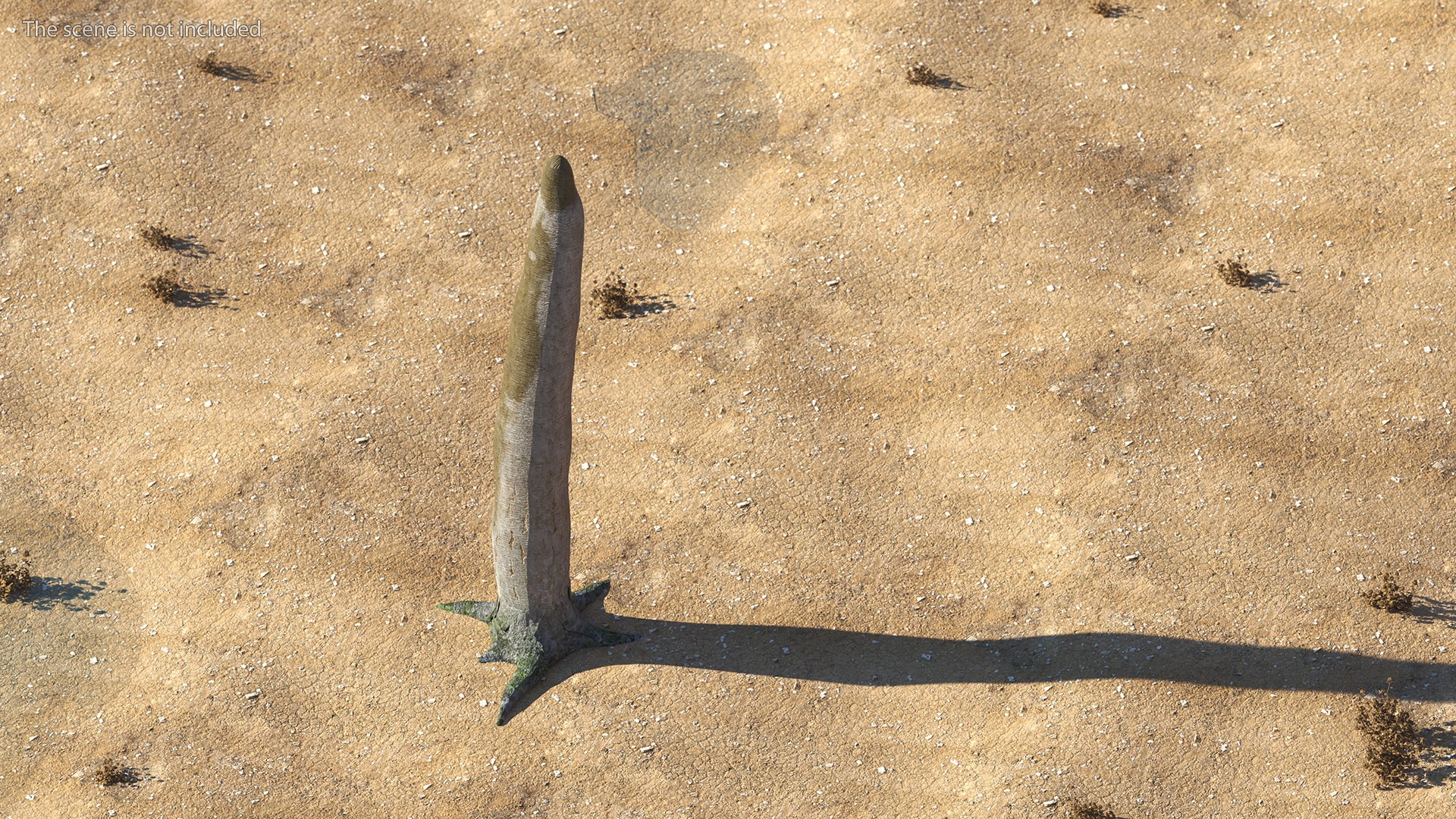 Dragon Blood Tree Trunk 3D model - TurboSquid 1741412