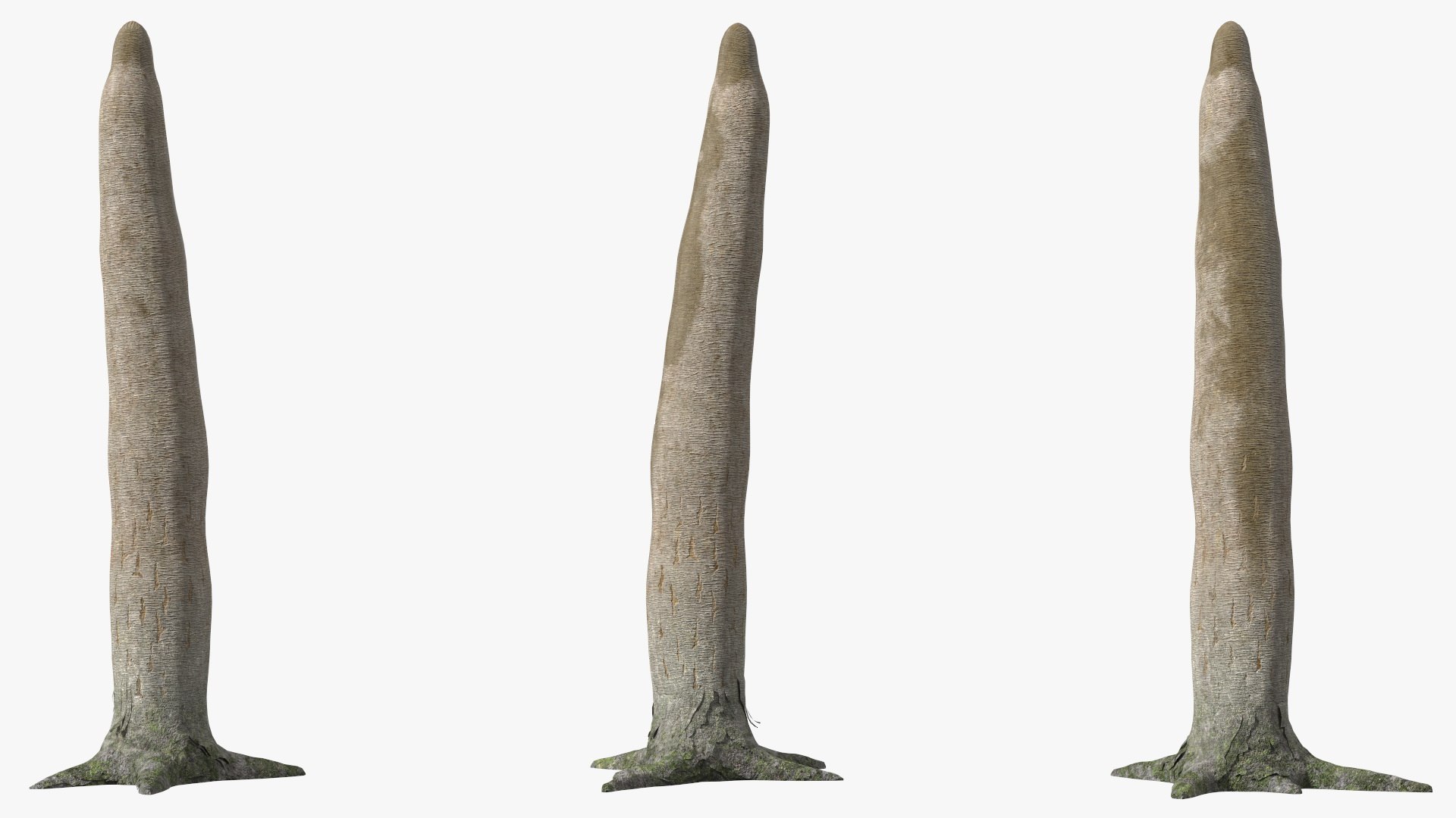Dragon Blood Tree Trunk 3D model - TurboSquid 1741412