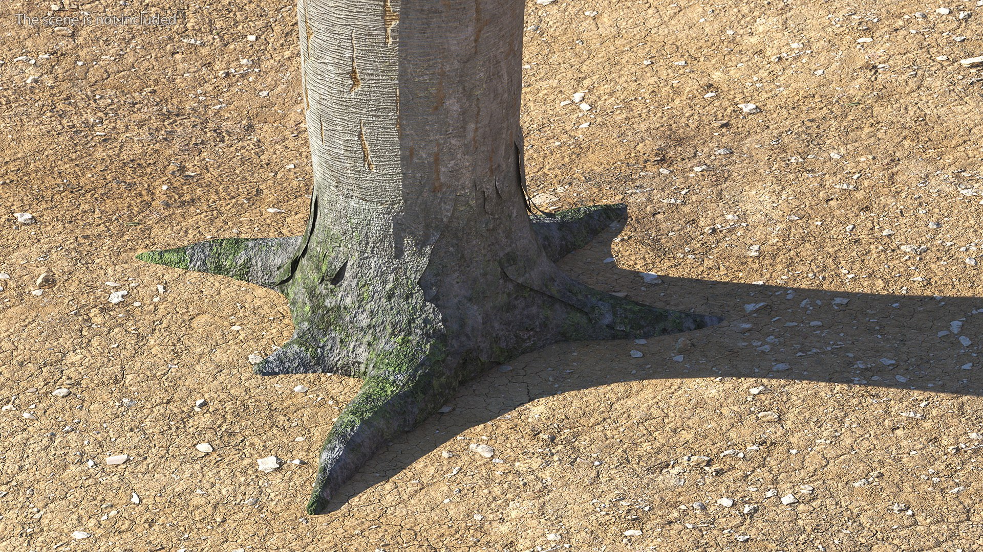 Dragon Blood Tree Trunk 3D model - TurboSquid 1741412