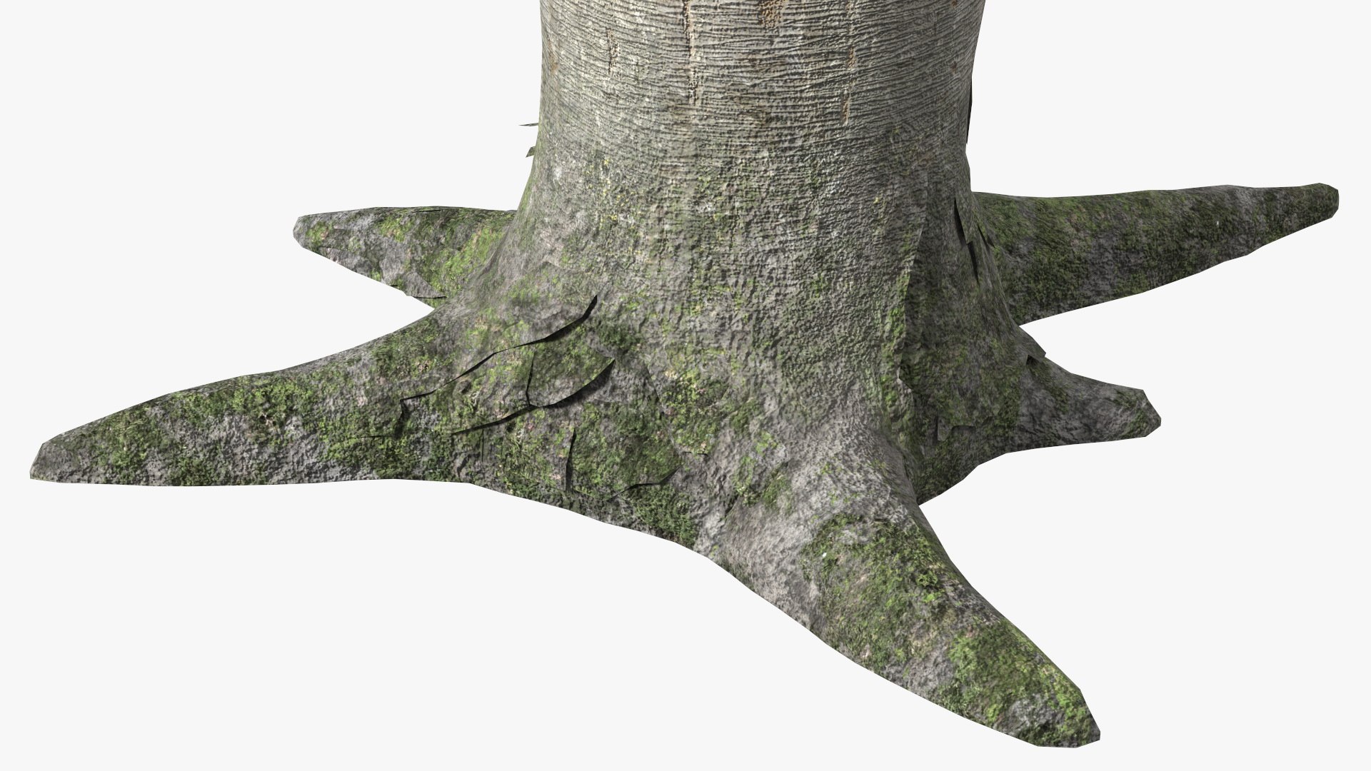 Dragon Blood Tree Trunk 3D model - TurboSquid 1741412