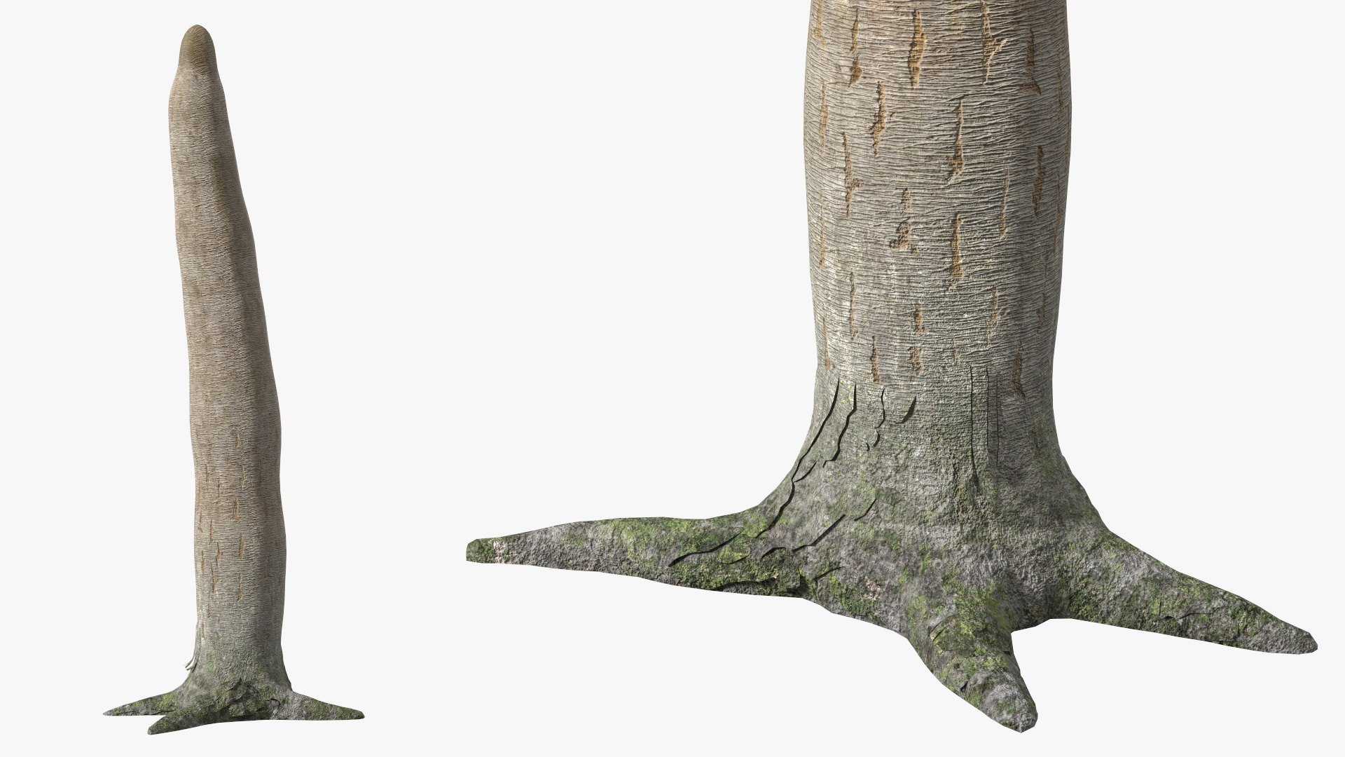 Dragon Blood Tree Trunk 3D model - TurboSquid 1741412