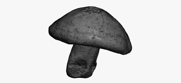 modelo 3d Hongo Cloché Medieval 01 Escaneo RAW - TurboSquid 1793567