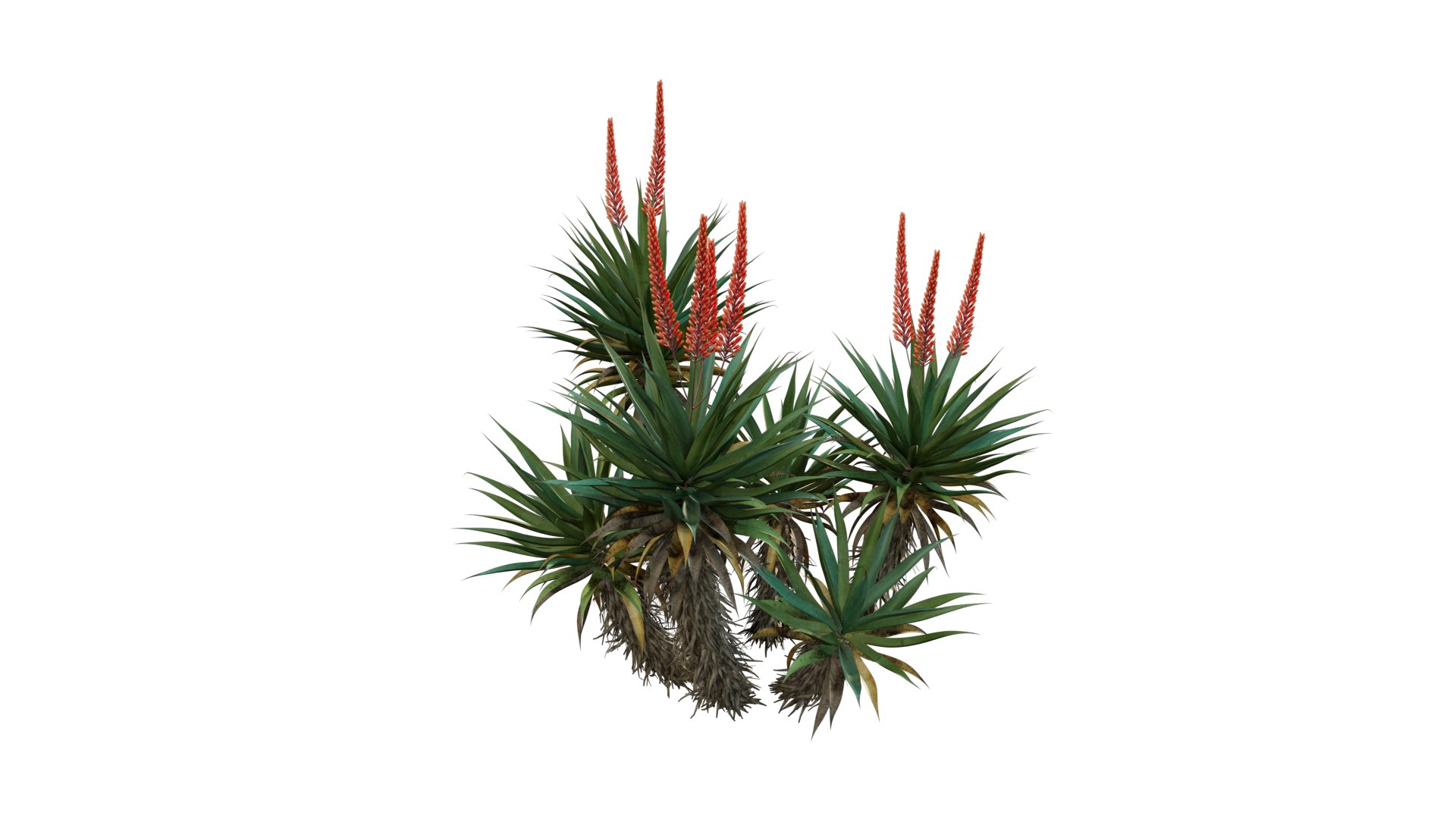 3D Tree Vera model - TurboSquid 1777865