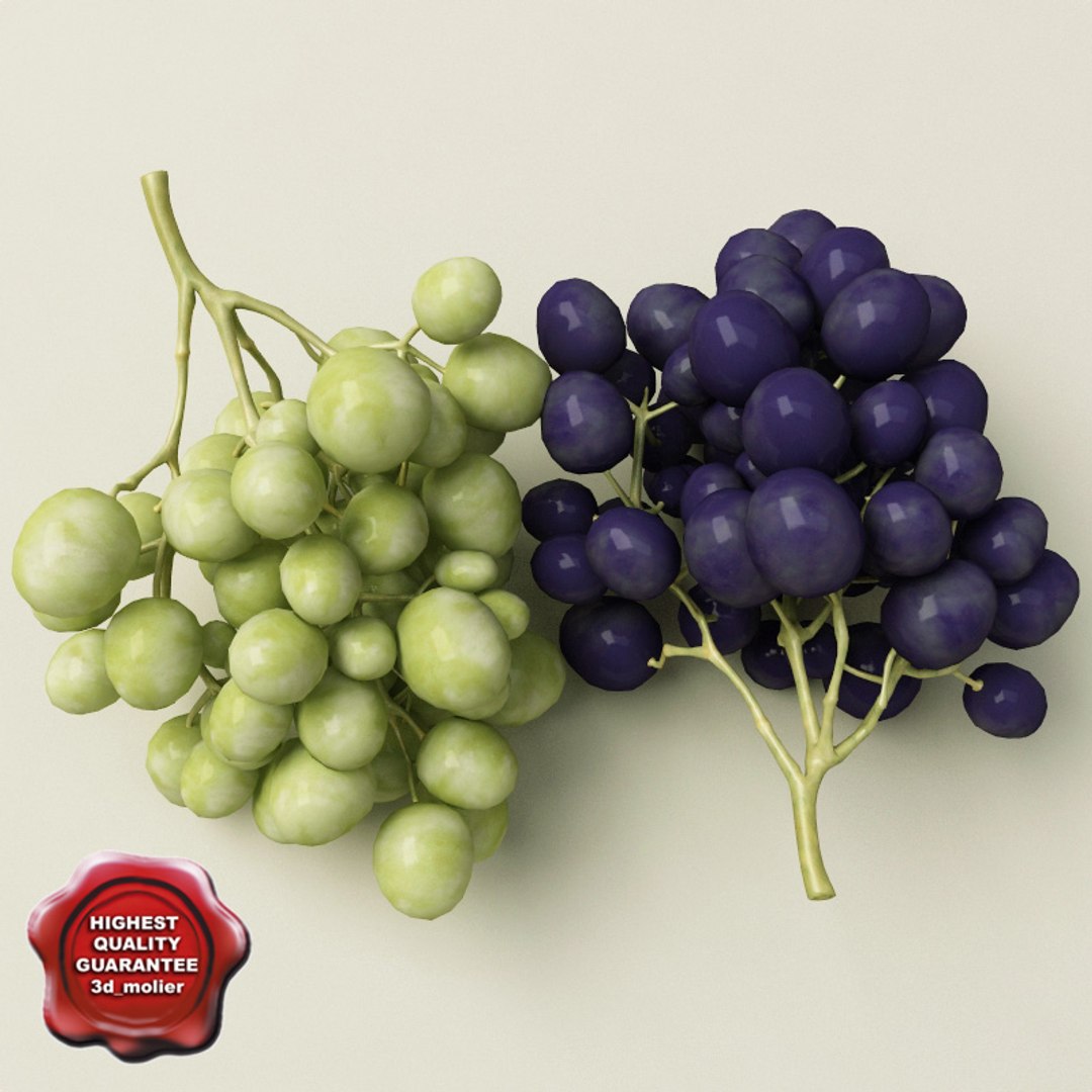 3d Model Grapes Modelled