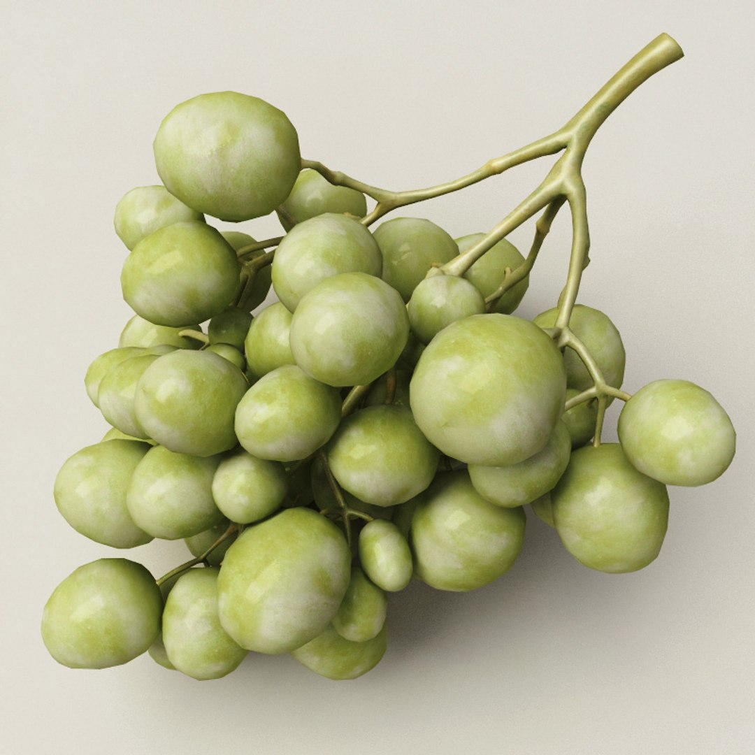 3d Model Grapes Modelled
