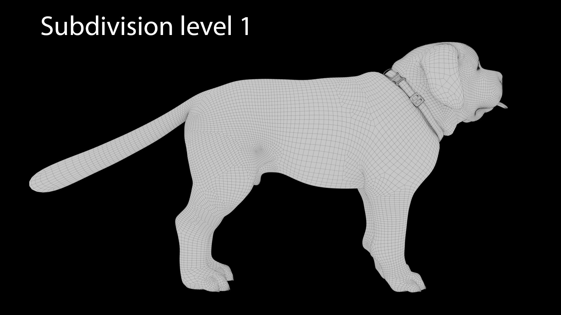 3D Model Sumo Dog - TurboSquid 1514630