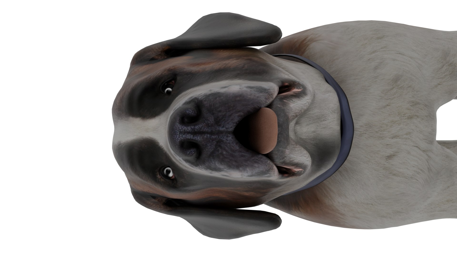 3D Model Sumo Dog - TurboSquid 1514630